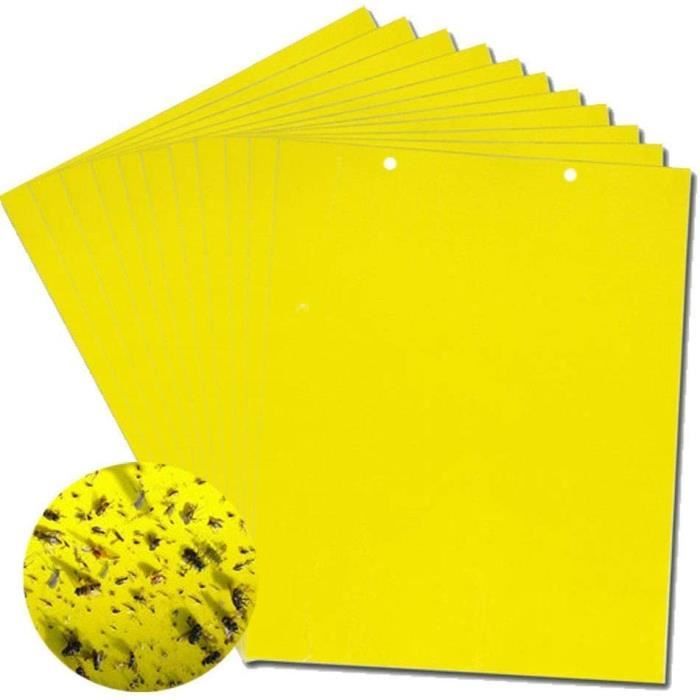 Jaune Sticky Fly pièges, Sticky Fly anti-gouttes Dual-side pour ctes ...