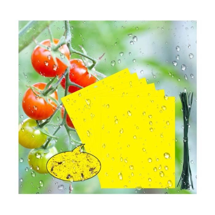 30 Pcs Pièges à Insectes, Jaune Mouche piège Double Face Piege ...