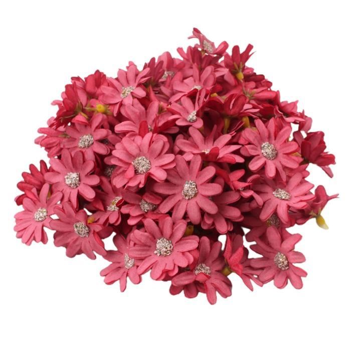 FLEUR-PLANTE ARTIFICIELLE - FLEUR SECHEE Faux fleur 100 pcssac anti-âge ...