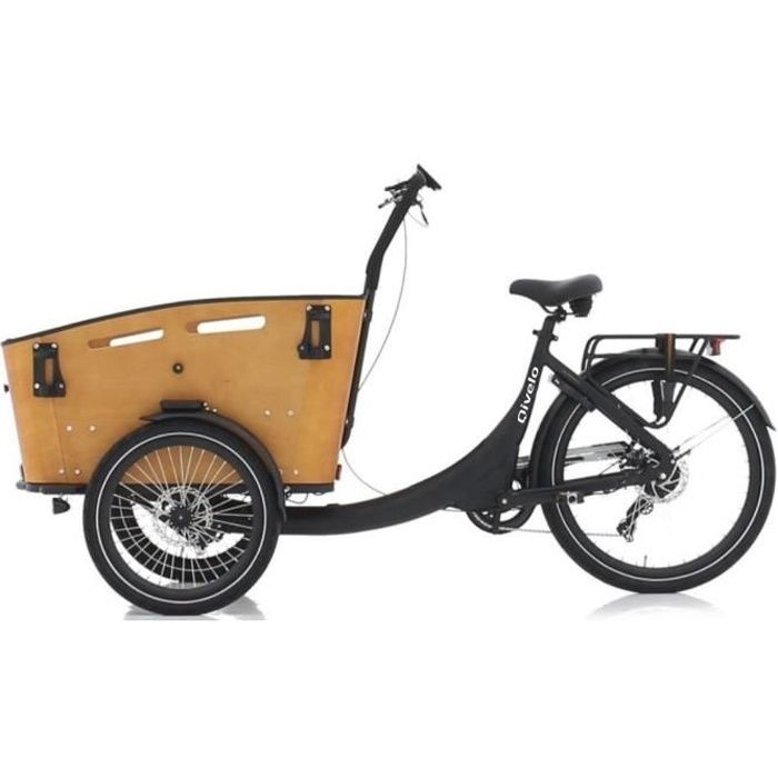 Tricycle électrique - vélo cargo - STORAG Qivelo Curve DR7 - Batterie ...