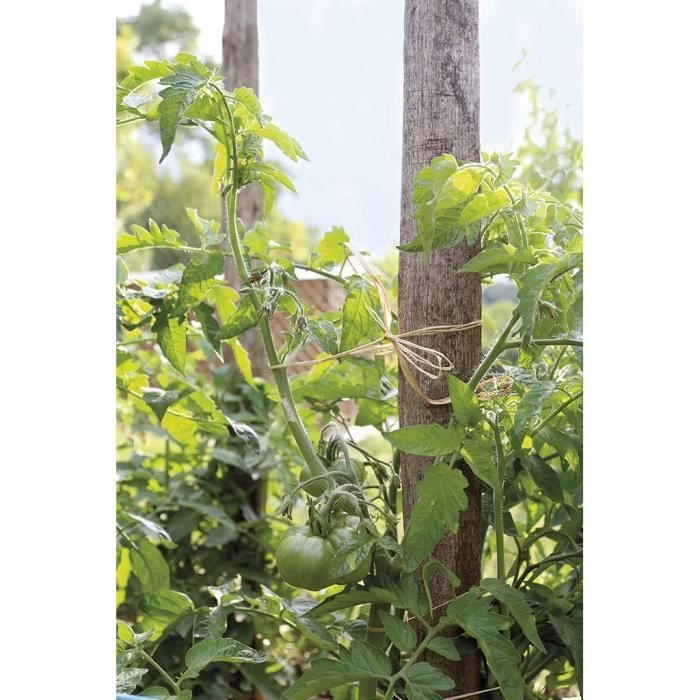 090394 Raffia Raphia Jardin 50 Brins 50g Ficelle Naturelle-idéal Lier ...