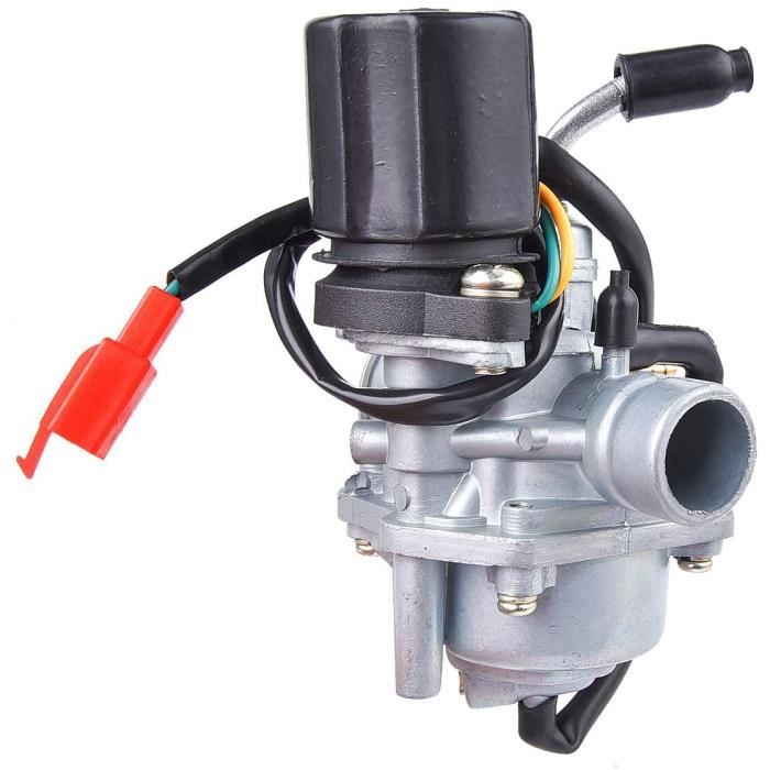 Wingsmoto Carburateur pour Dinli 2 Temps 50cc 90cc 110cc Dino Jp Helix ...