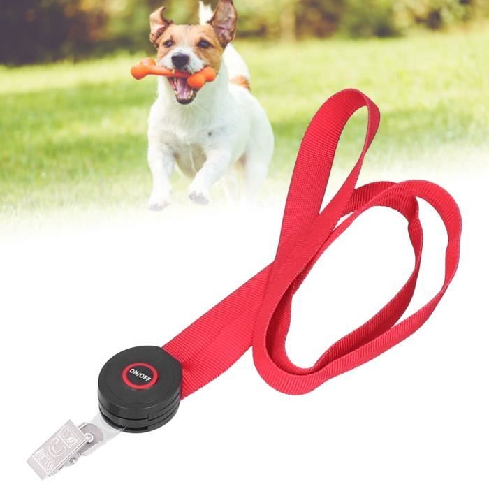 Collier pour chien à LED Collier lumineux d'animal familier de collier ...