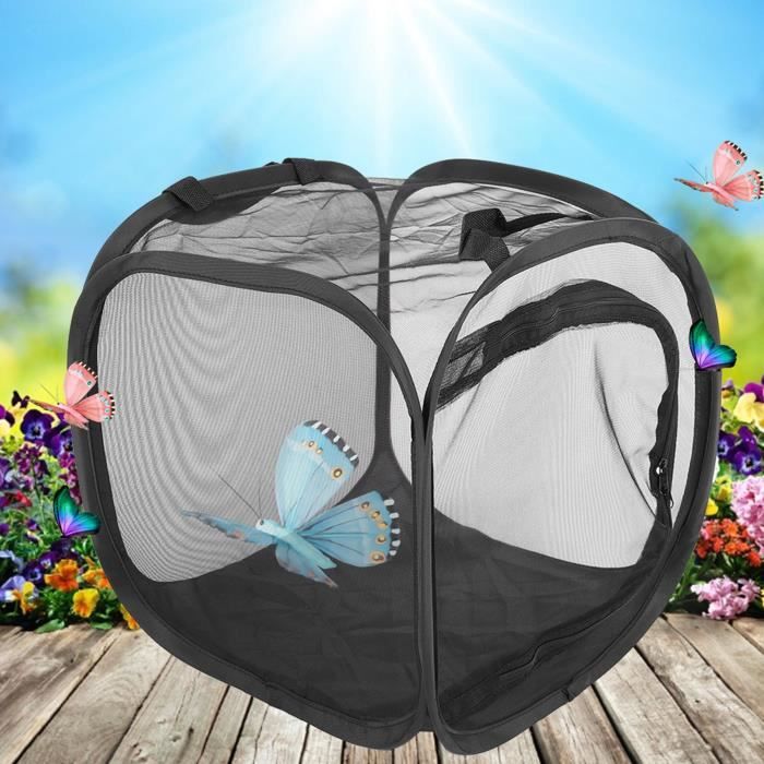 Cage à insectes pliable en maille - Drfeify - New Bton - Petite taille ...