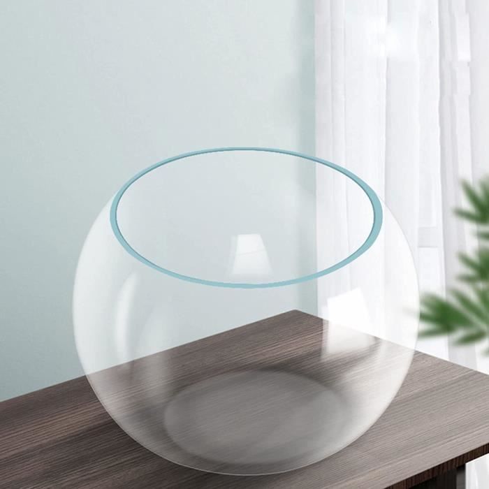 Aquarium en Verre,Aquarium en Verre,Petits Aquariums,Petit Aquarium ...