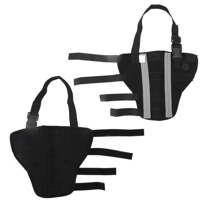 VINGVO Attelle de jambe arrière de chien Attelle de jambe arrière pour ...