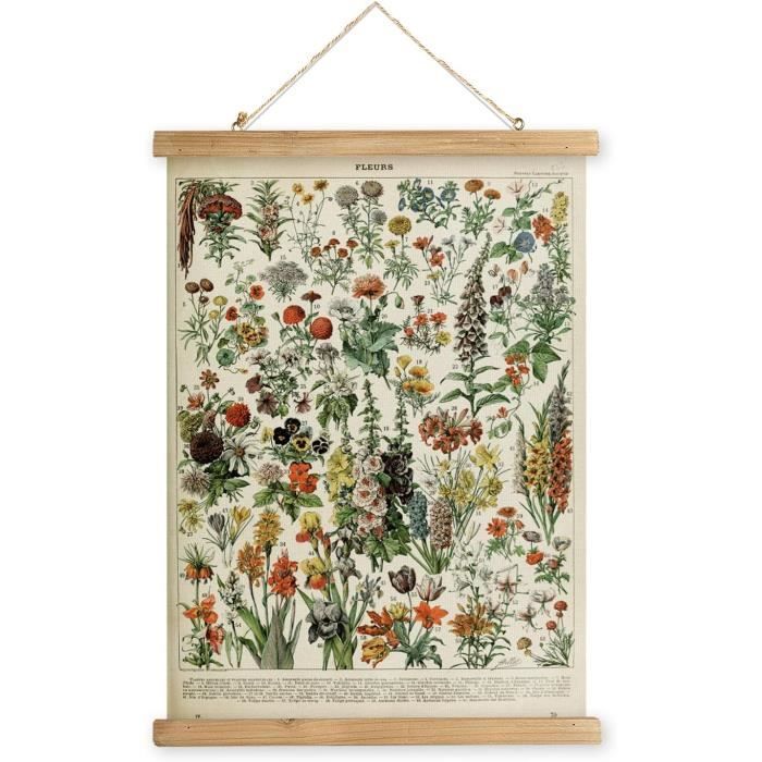 Affiche Botanique 'Fleurs' Vintage - Poster Illustratif Floral Avec ...