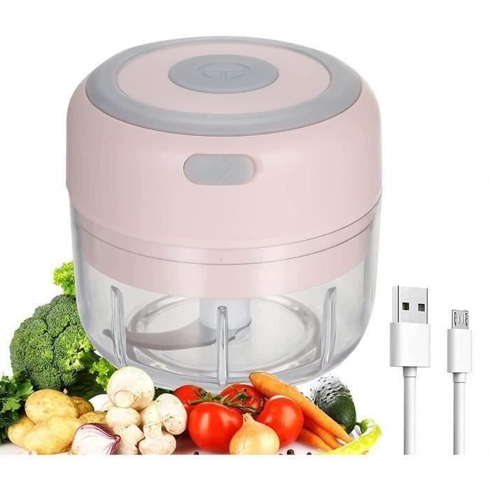 Mini hacir à ail électrique trancheuse à ail broyeur à ail mélangeur RT ...