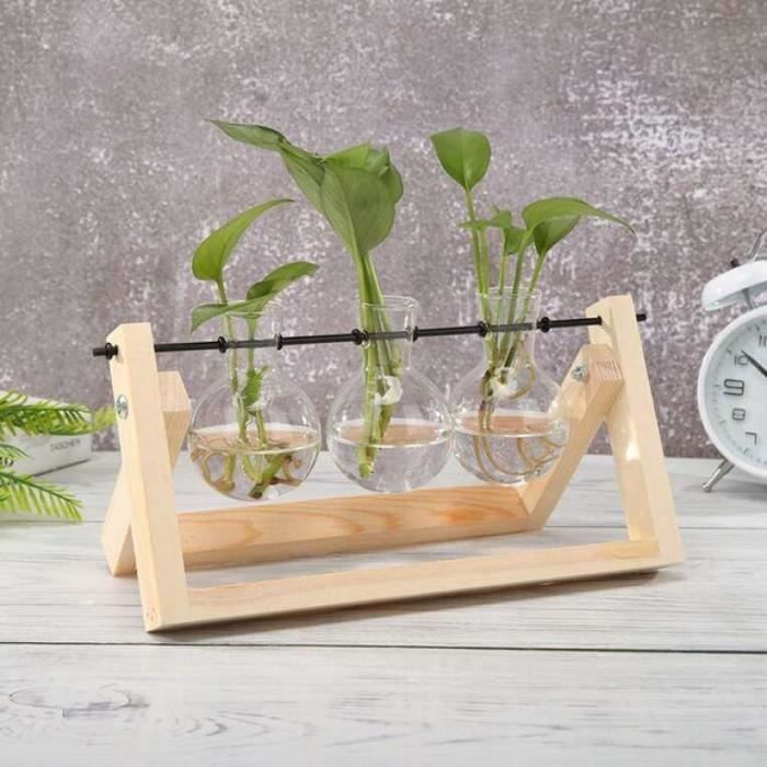 WE23620-Jardinière en verre et bois pour terrarium. pot de fleurs ...
