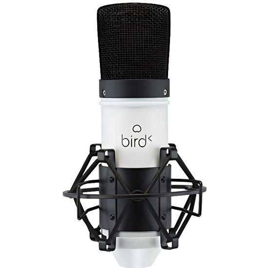 Bird EM2 Microphone de studio condensateur Blanc - Cdiscount TV Son Photo