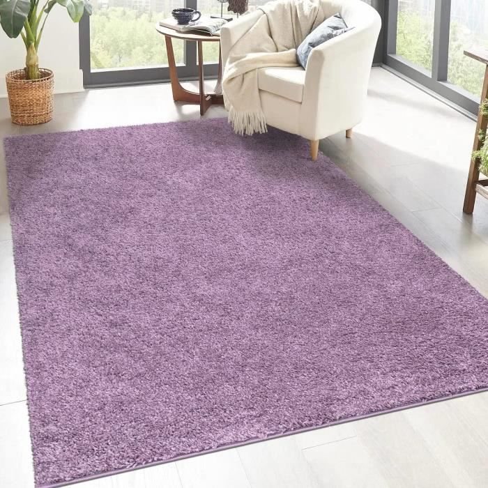 Shaggy Tapis À Poils Longs, 60 X 110 Cm, Violet, Tapis De Salon, À Poils Longs, Uni, Moderne ...