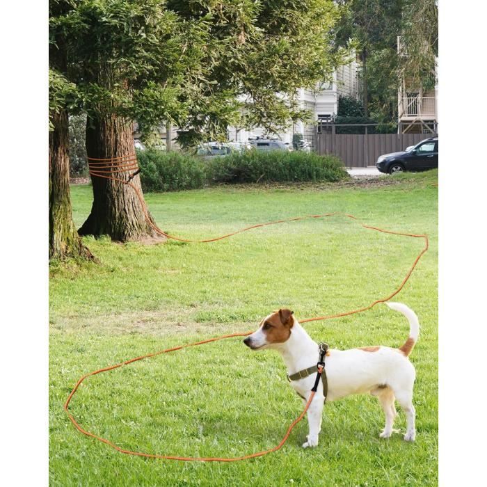 Longe Pour Chien 5M,Long Laisse Chien Corde Avec 2 Mousquetons Pour ...
