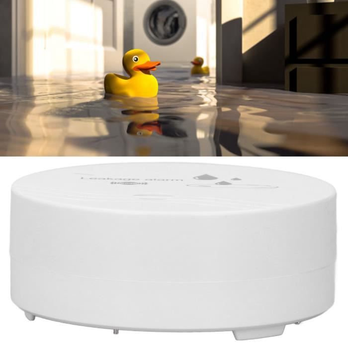 KAI-alarme de fuite d'eau Alarme de Capteur de Fuite D'eau Liquide 100 ...