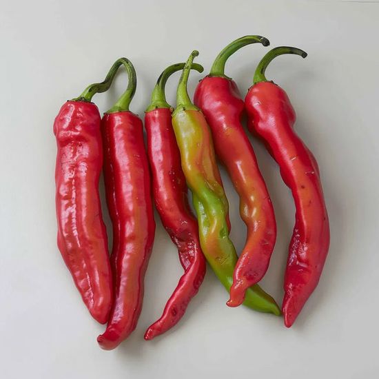 25 Graines de Poivron Doux Très Long des Landes - légumes potager ...