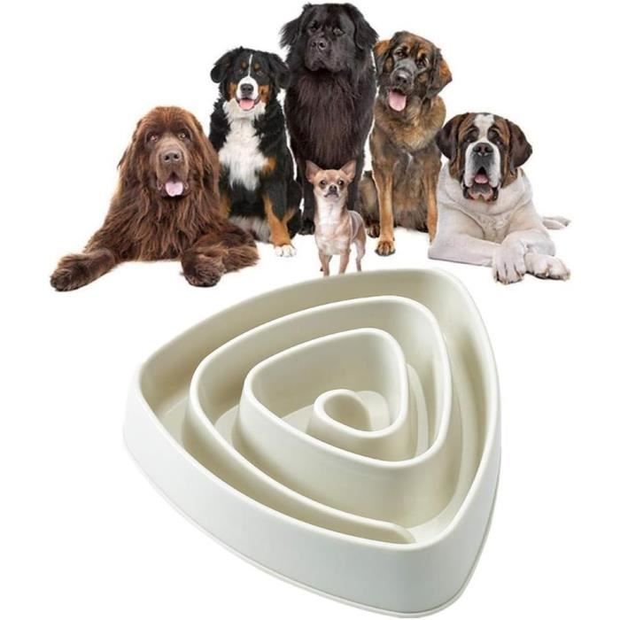 Gamelle Anti Glouton Chats Gamelles Pour Chien Labyrinthe Interactif ...