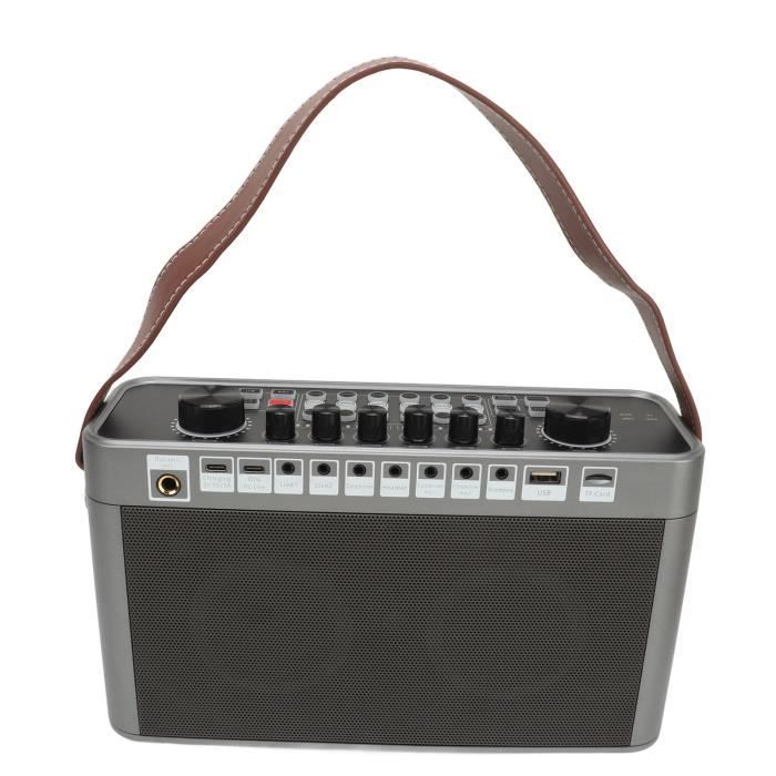 ESTINK Machine Karaoke Tout en Un avec 2 Micros sans Fil, Bluetooth et ...