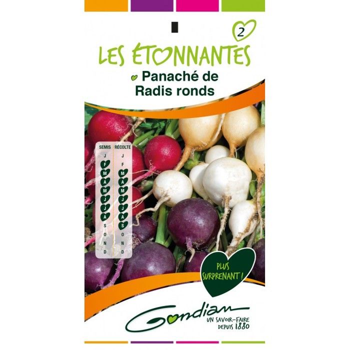 Gondian - Les étonnantes Panaché de Radis ronds - Cdiscount Jardin