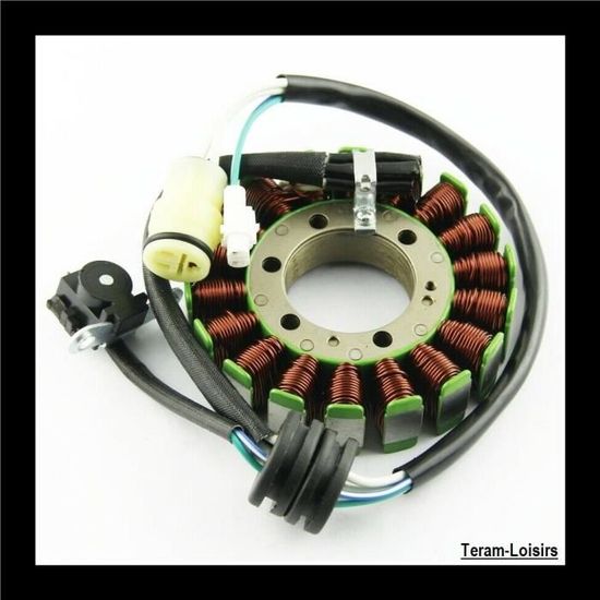 Stator Allumage Alternateur Yamaha 700 Raptor de 2012 2013 2014 2015 ...