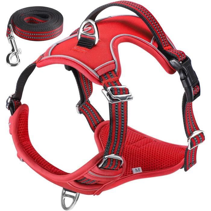 Harnais Chien Avec Laisse Chien, Harnais Anti Traction Pour Chien Avec ...