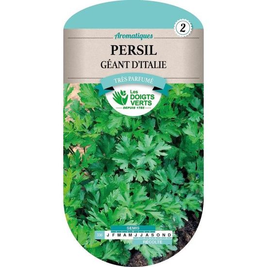 Persil Géant D Italie[u114] - Cdiscount Jardin