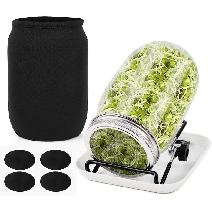 Germoir En Verre, 950 Ml, Verre À Germes 1 Support Escamotable, 1 ...