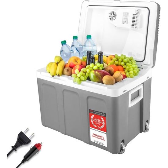 TZS First Austria 45L Portable Electric Cool Box Mini Fridge 12V 230V ...