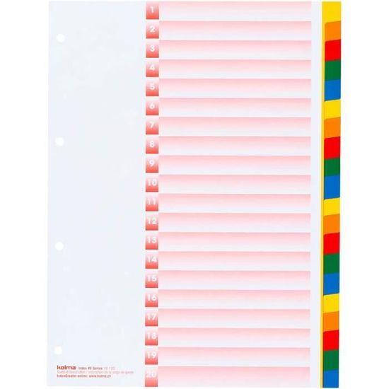 Lot de 20 intercalaires en polypropylène Format A4 1-20 Multicolore [48 ...