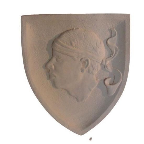 Blason corse en pierre reconstituée bicolore 23,8/20/2,3 cm - Cdiscount ...