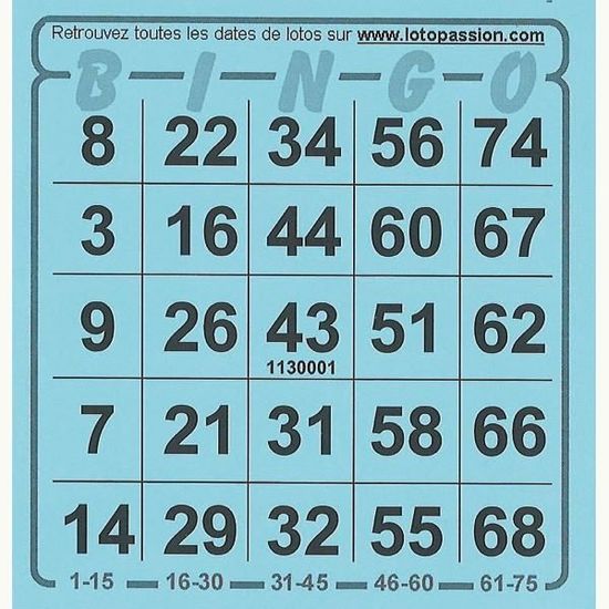 Bingo américain individuels - Cdiscount Jeux - Jouets