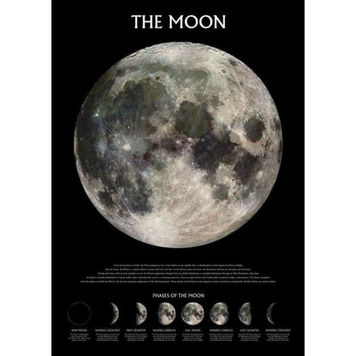Poster les phases de la Lune (61 x 91.5cm) - Cdiscount Maison