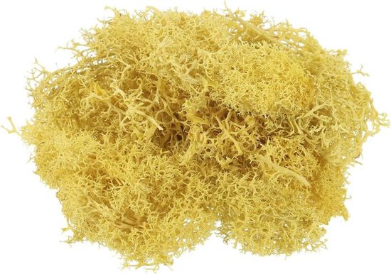 3,5 Oz Faux Mousse, Conservé Renne Mousse Artificiel Mousse Lichen ...