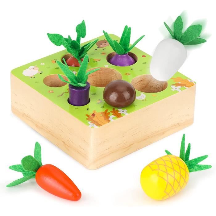 Jouets Montessori en Bois pour Bébé Jouet Educatifs pour Enfant ...