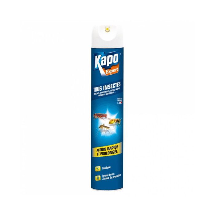 Insecticide aérosol multi-usages - tous insectes - 500 mL - Cdiscount ...