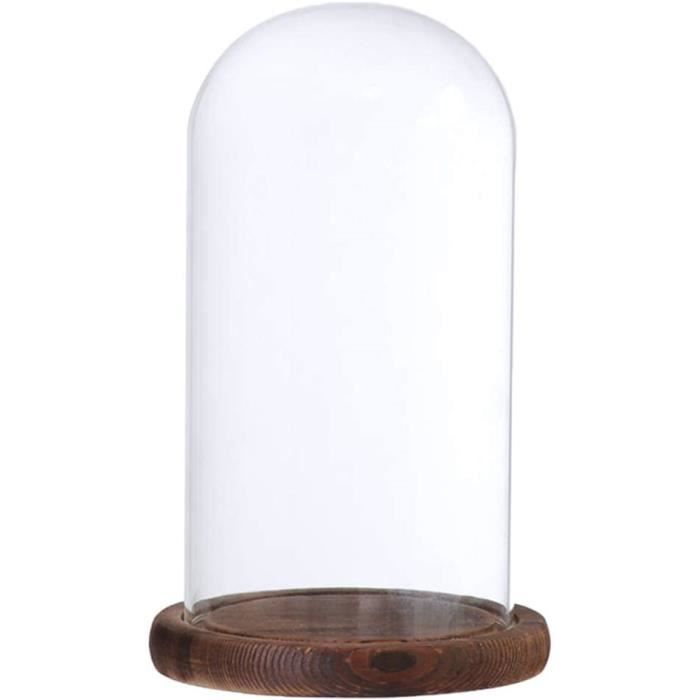 Décoratif en Verre Clair Dôme Cloche Cloche Succulente Terrariums Air ...