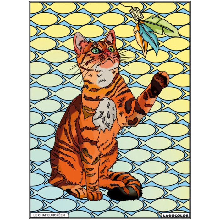 Coloriage - Chat - Tableau à colorier - Avec contours velours noir ...