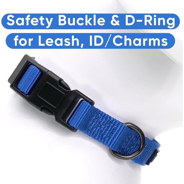 Collier Solide Pour Chiot, Collier Pour Animal De Compagnie, Collier ...