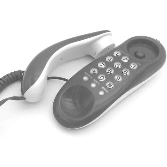 Téléphone Fixe - The Phone Home Office - Couleur Gris - Modèle H2490 ...