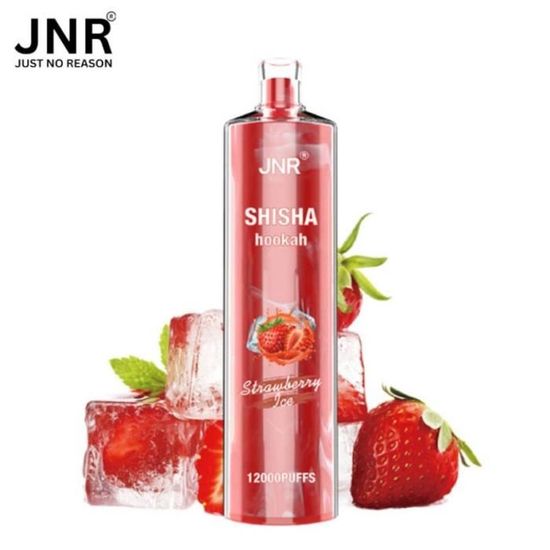 Puff Shisha Fraise glacée 12000 puffs - JNR - Cdiscount Au quotidien