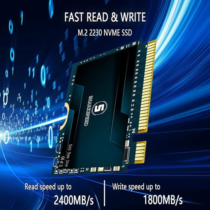 SHARKSPEED SSD M.2 2230 1To NVME PCIe Gen3x4 30mm Disque Dur SSD ...