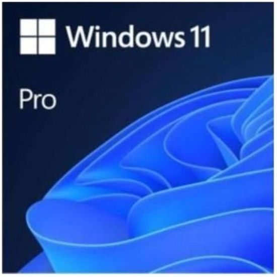 Windows 11 Pro – Licence Volume – Français – 32 bits – Installation ...