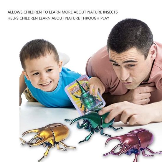Faux Insectes Animaux 3 Pcs Faux Insectes En Plastique Wind Up Bugs ...