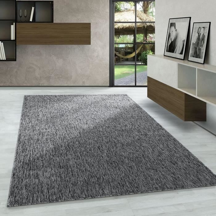 Tapis À Poils Ras, Couleur Gris, Unicolor - Monochrome, 107438, Tapis ...