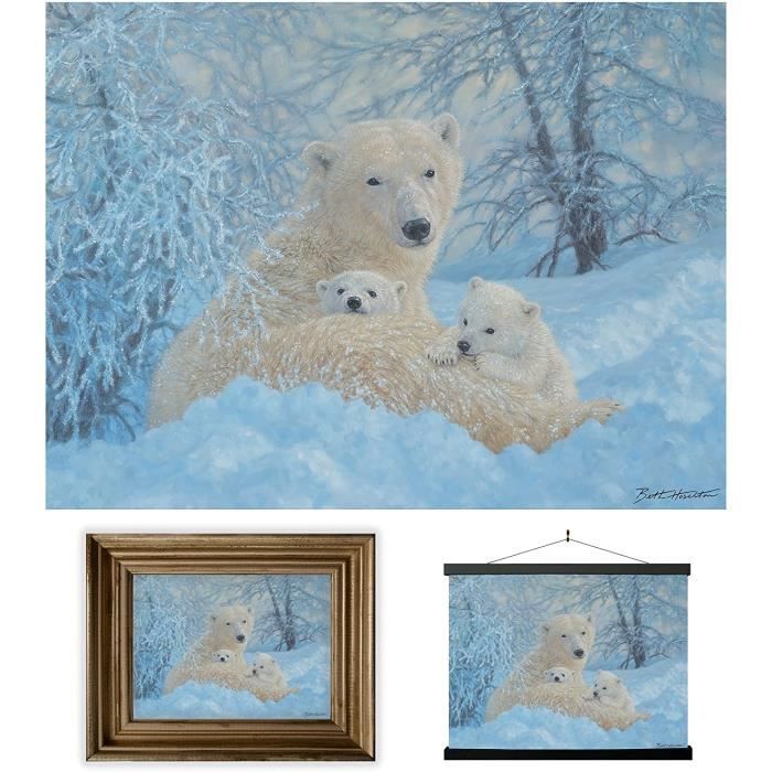 Affiche murales lenticulaires - Panda Roux de Deluxebase. Poster Faune ...