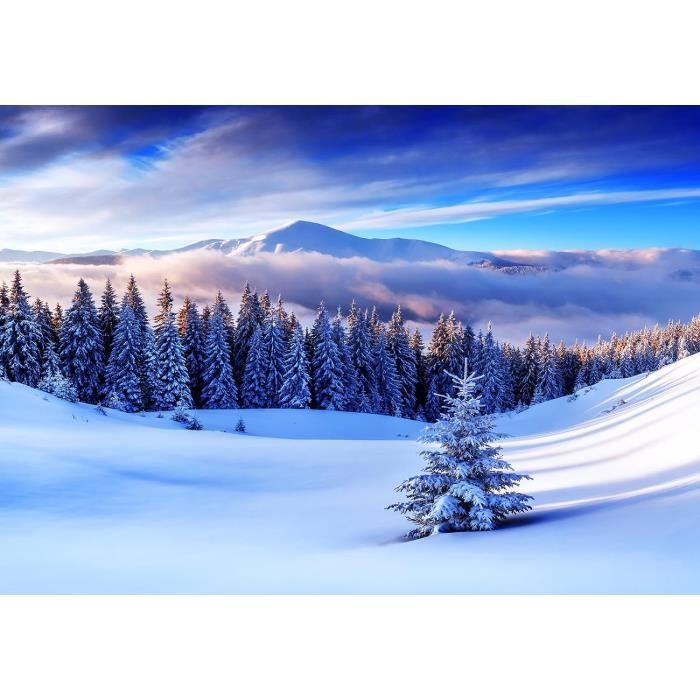 Papier Peint Panoramique 3D Forêt Neige Montagne Paysage Naturel Tapisserie Murales Poster Mural ...