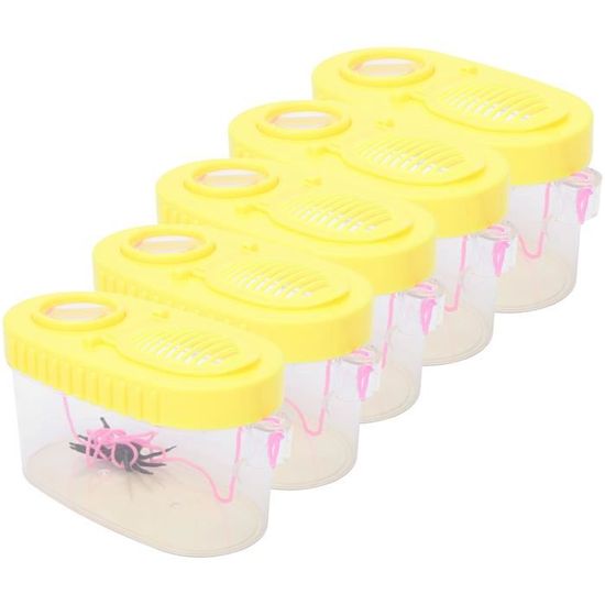 VINGVO Boîte d’observation d’insectes Visionneuse d'insectes pour ...