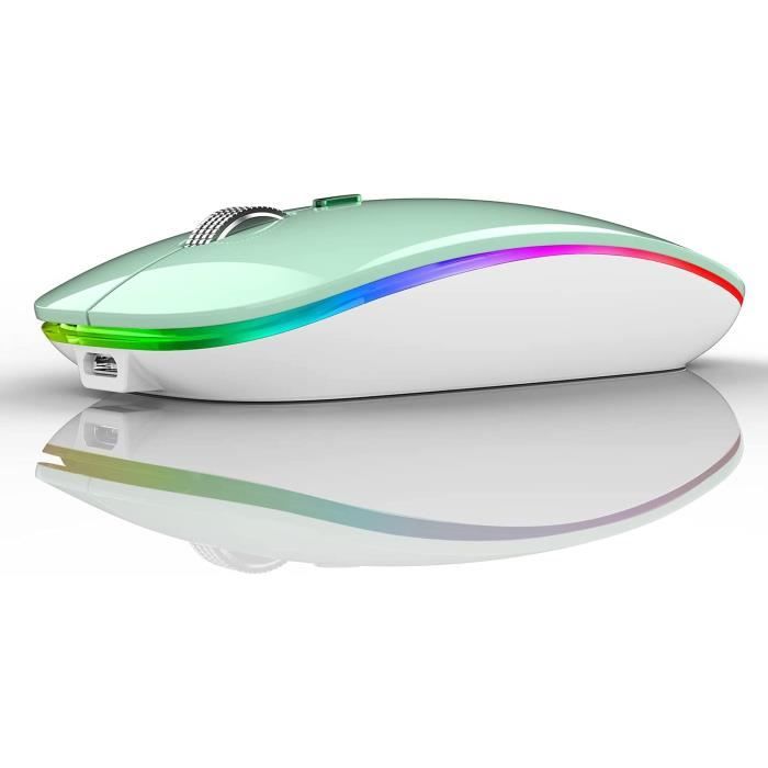 Souris sans Fil Bluetooth, Rechargeable Portable Wireless Mouse (BT 5.1 ...