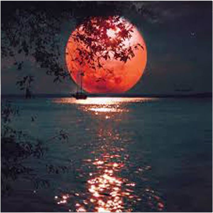 5D Square Diamond Painting Carré Diy Diamant Peinture Peinture Kits ...