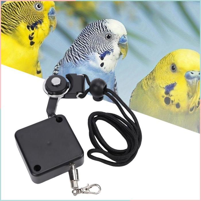Corde volante rétractable pour oiseaux, laisse pour oiseaux en acier ...