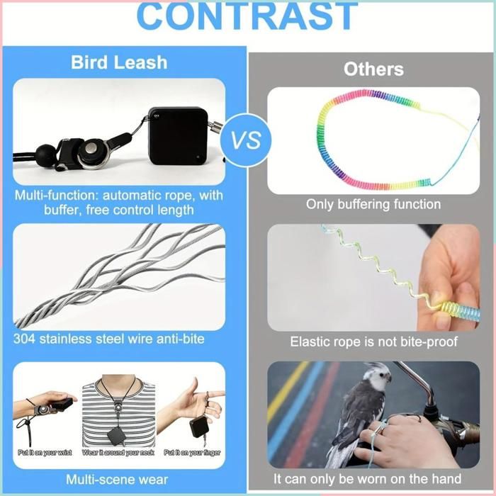 Corde volante rétractable pour oiseaux, laisse pour oiseaux en acier ...