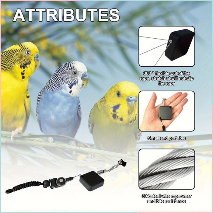 Corde volante rétractable pour oiseaux, laisse pour oiseaux en acier ...